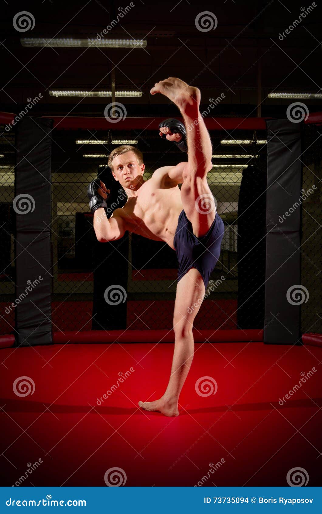 Kickboxer in sports hall stock photo. Image of male, combat - 73735094