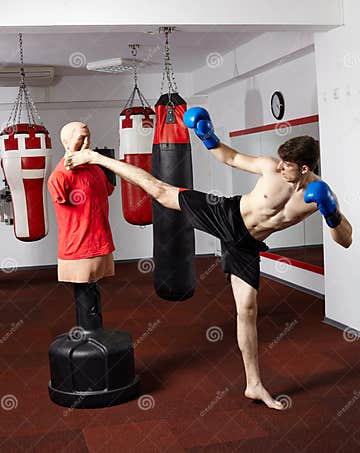 Kickboxer Training in the Gym Stock Image - Image of boxer, activity ...