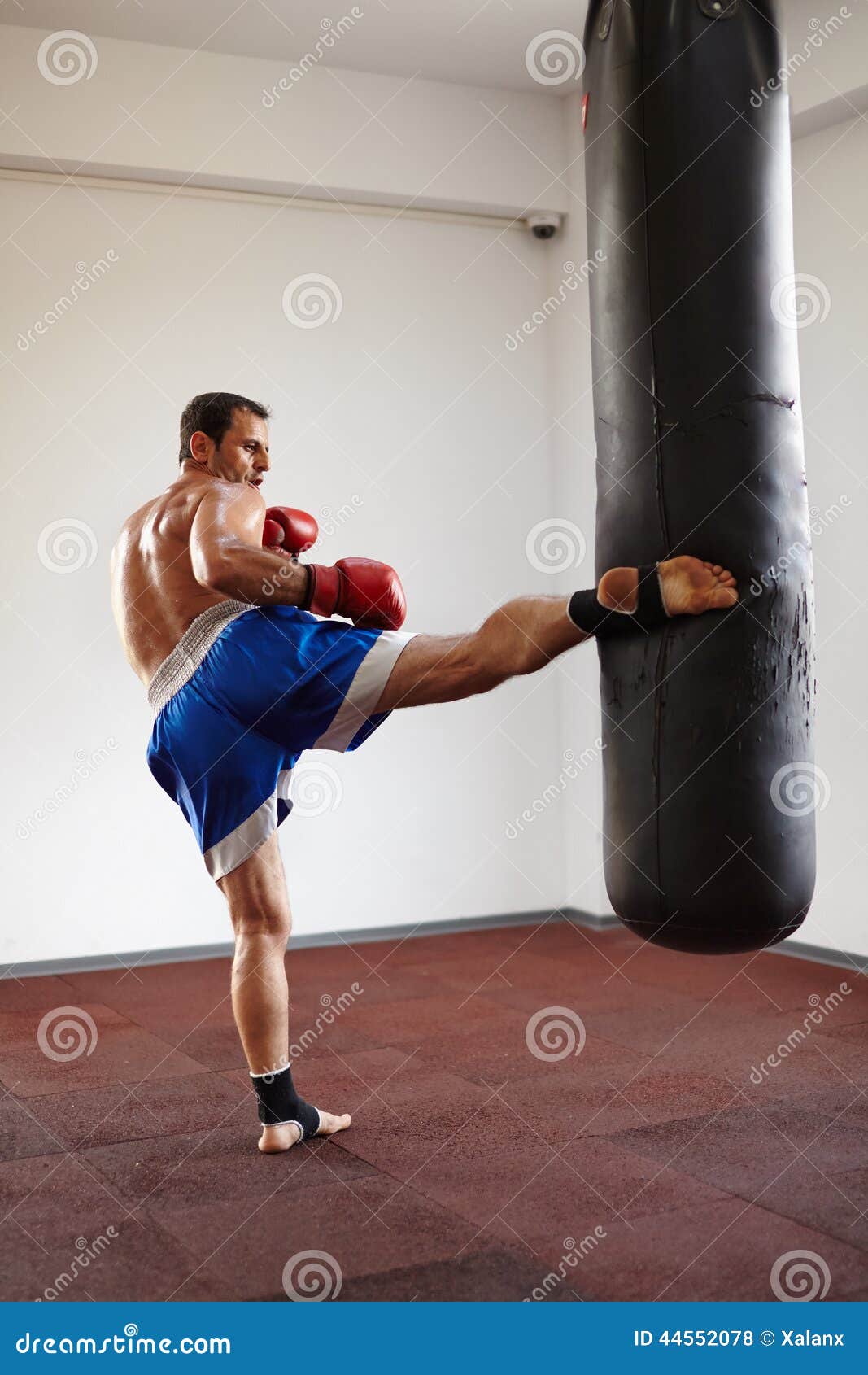 Kickboxer Training with Punchbag Stock Photo - Image of male, gloves ...