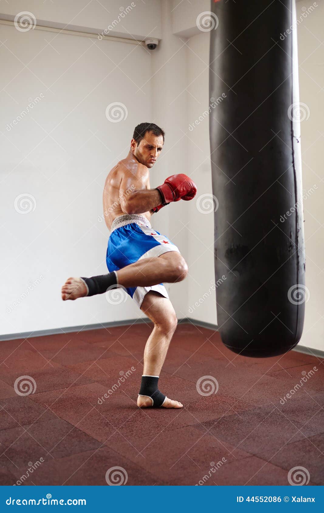 Kickboxer Training with Punchbag Stock Photo - Image of gloves, people ...