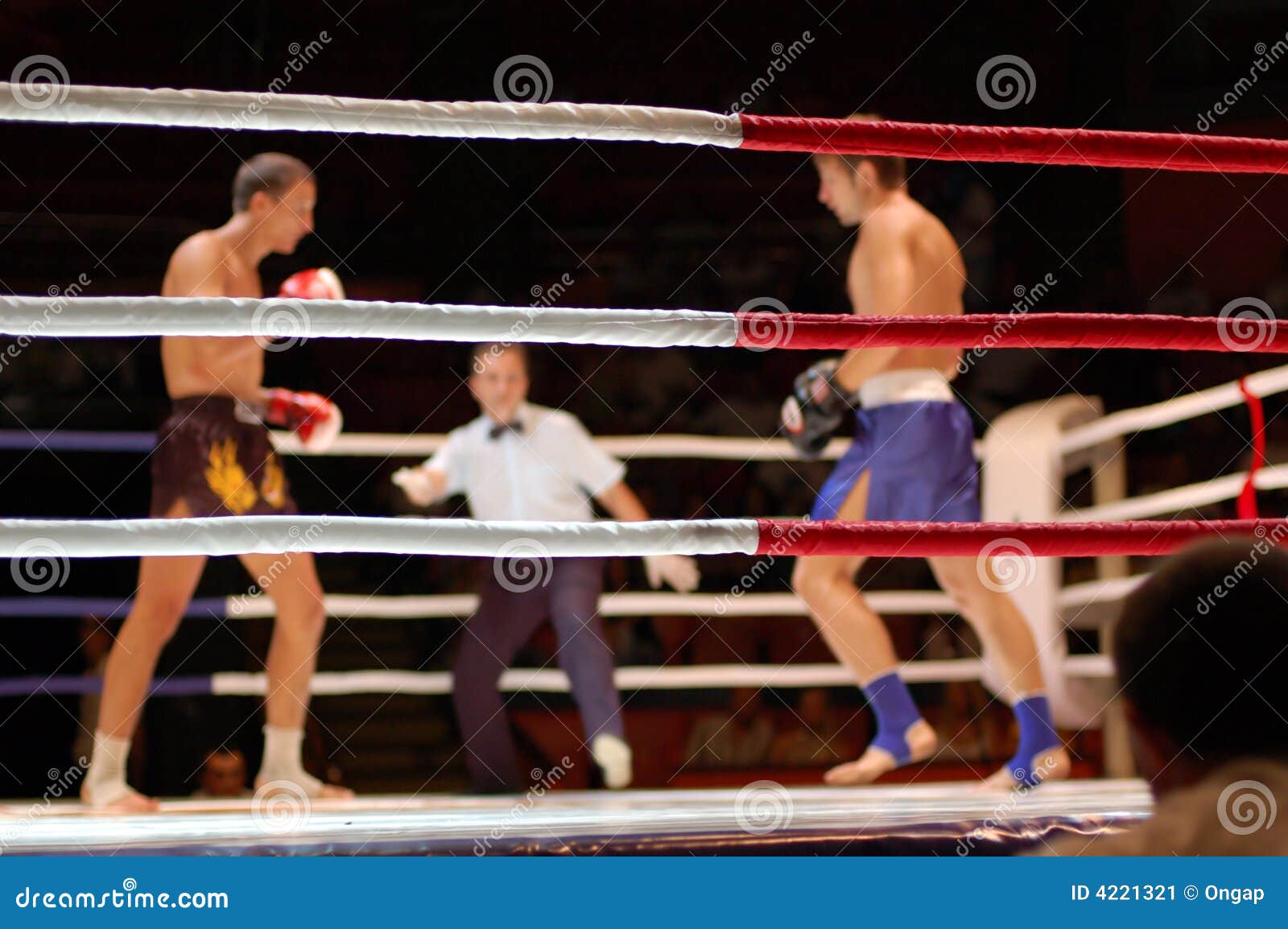 Kickboxing fight editorial photo. Image of human, muscular - 4221321
