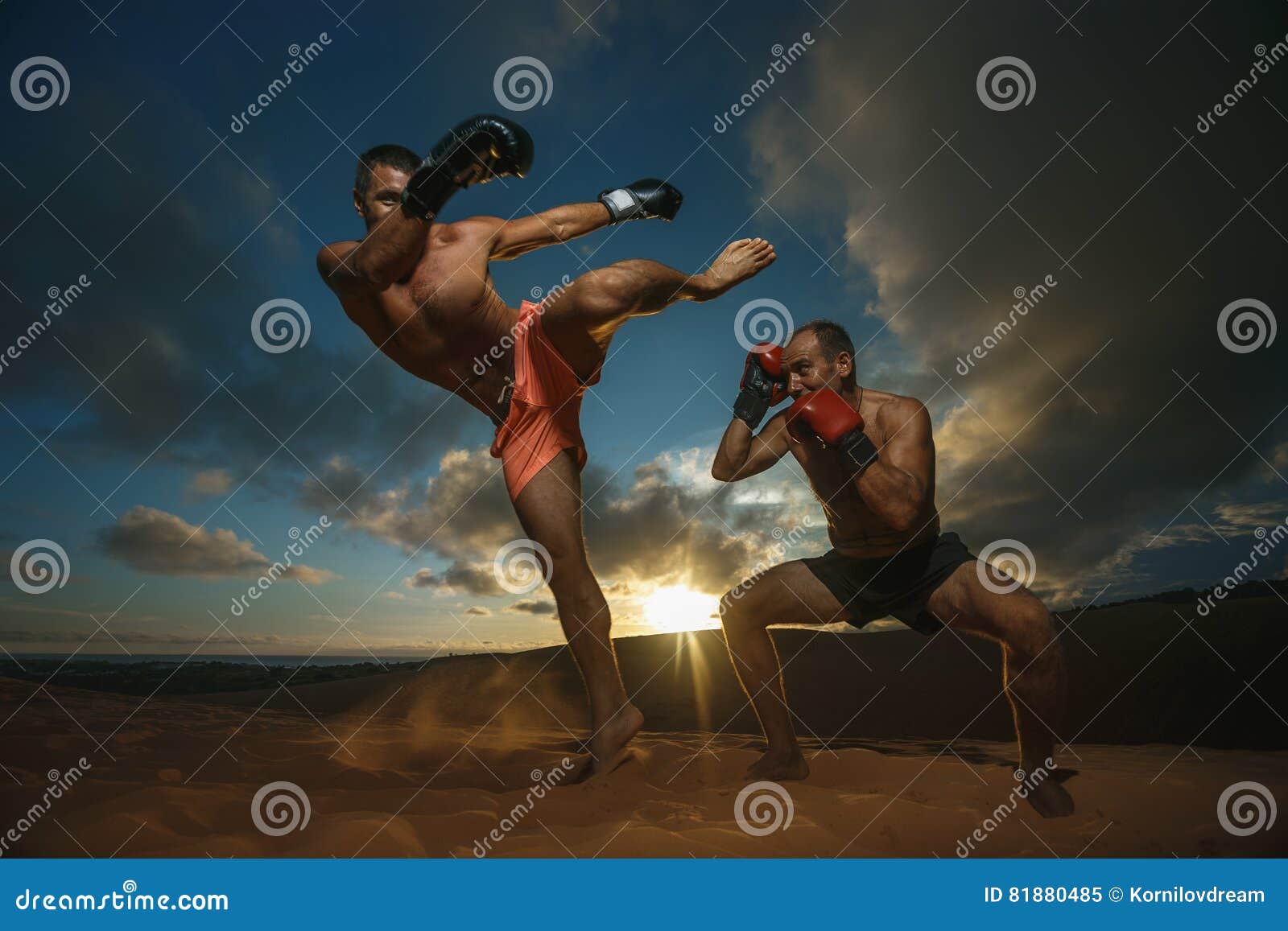 Kickboxing stock image. Image of adult, challenge, bicep - 81880485