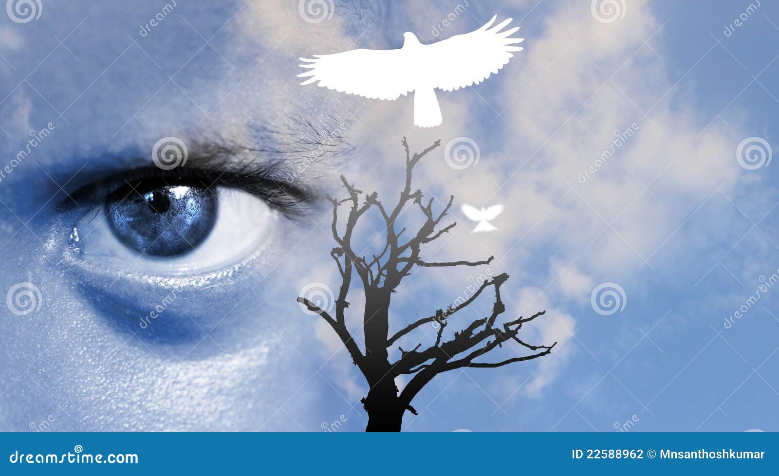 Kid Angry Because Of Environmental Degradation Picture. Image: 22588962