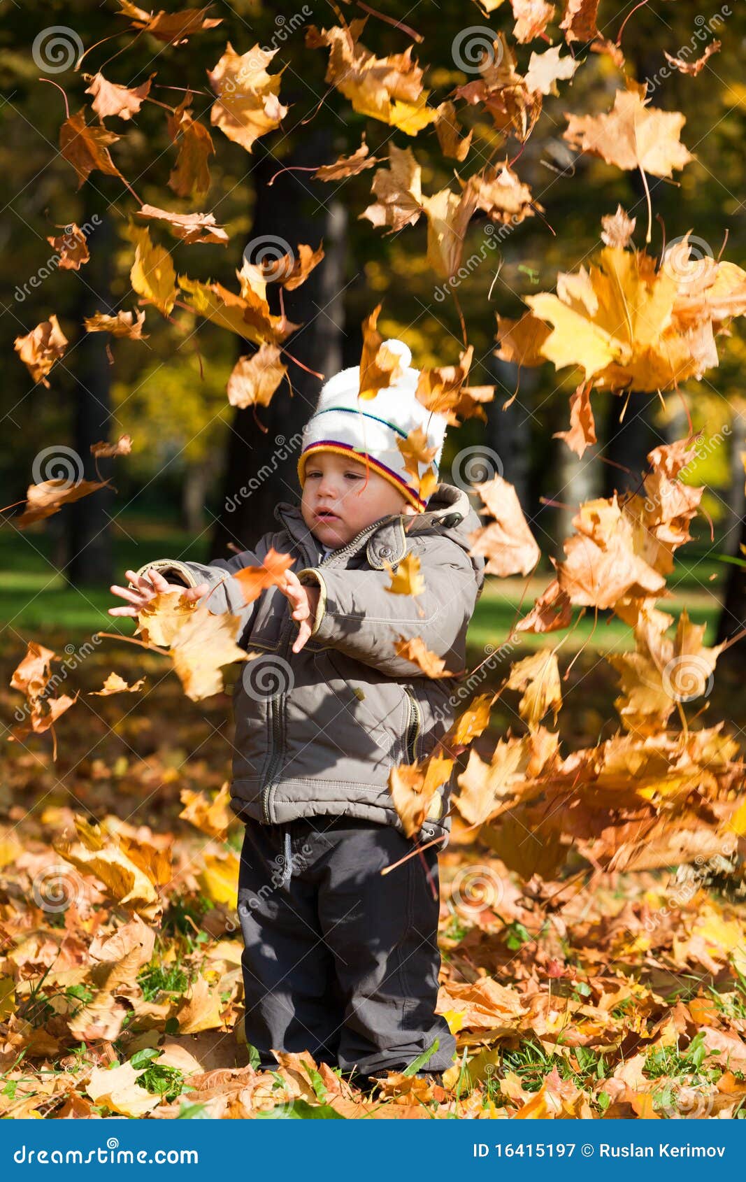 Kid in autumn wood stock image. Image of activity, child - 16415197
