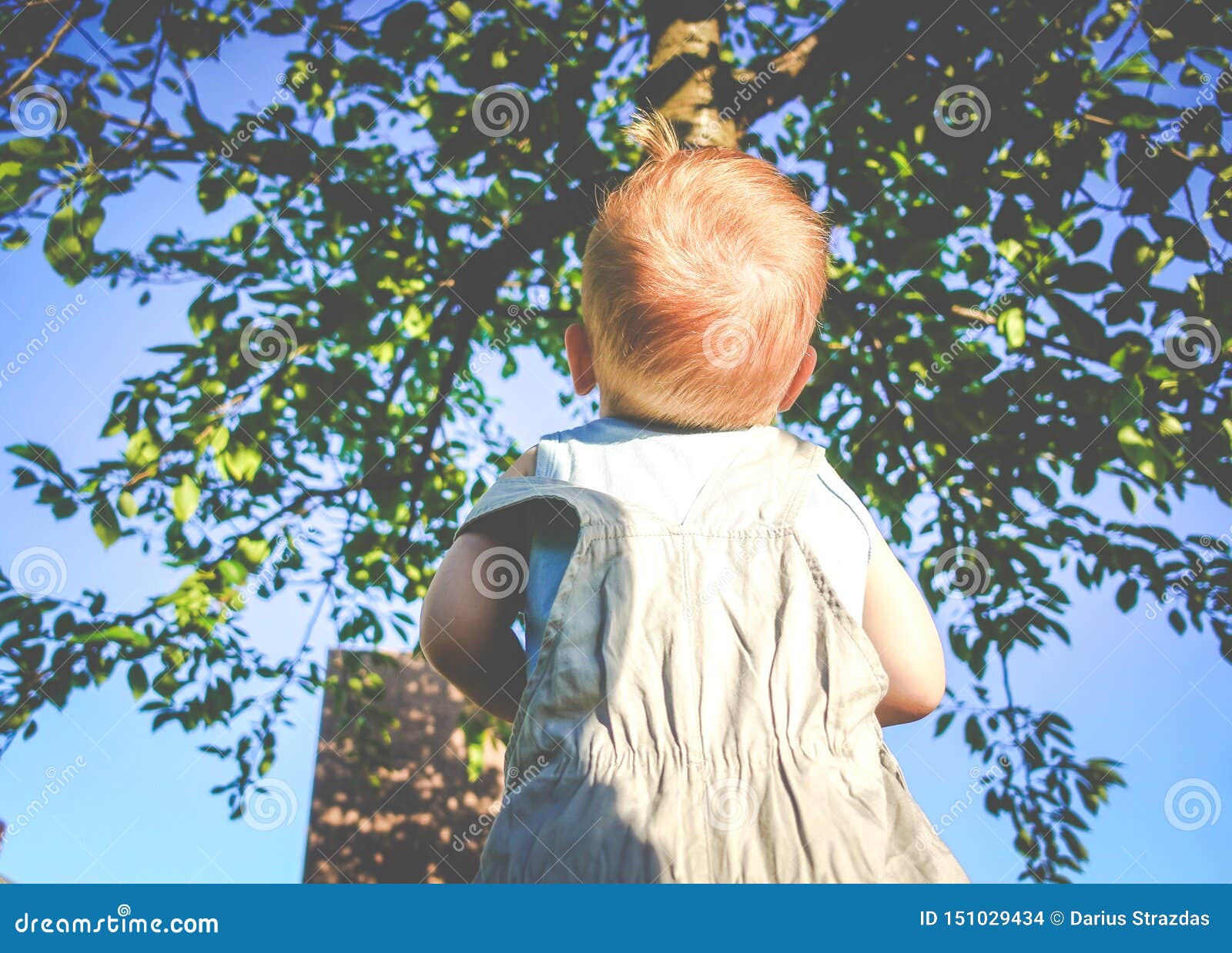 Kid back view in outdoors stock photo. Image of flowers - 151029434