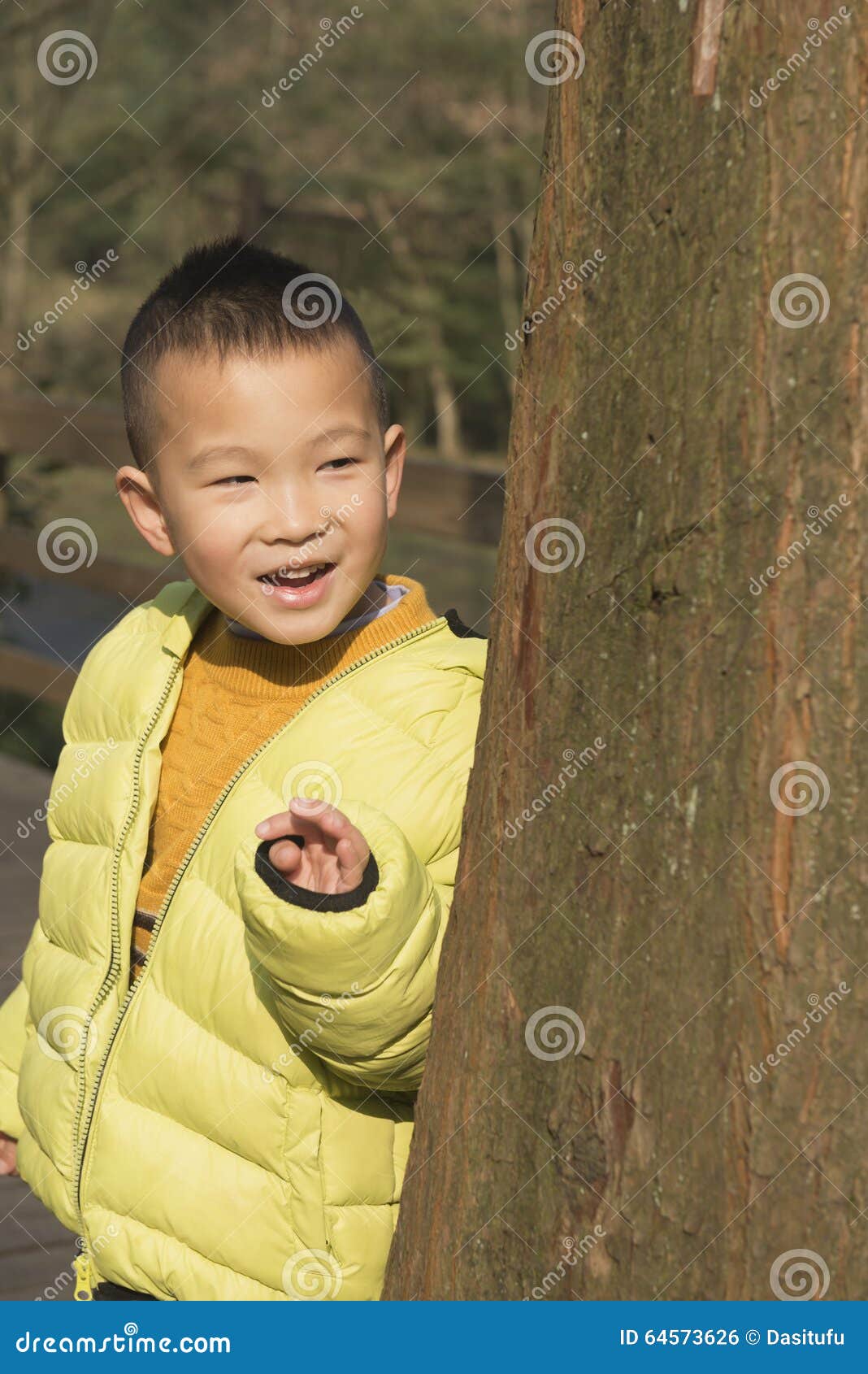 Kid behind tree stock photo. Image of emotion, complacent - 64573626