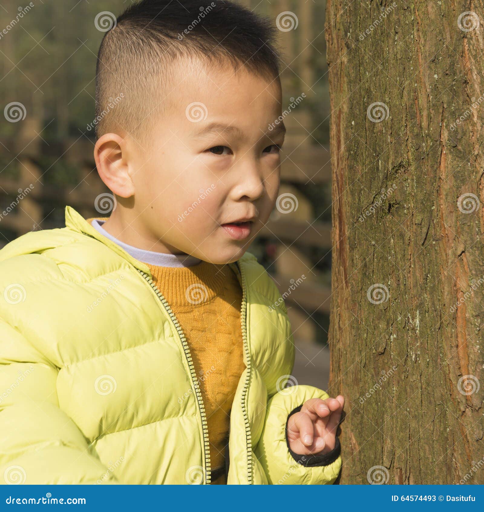 Kid behind tree stock image. Image of tree, peek, childhood - 64574493