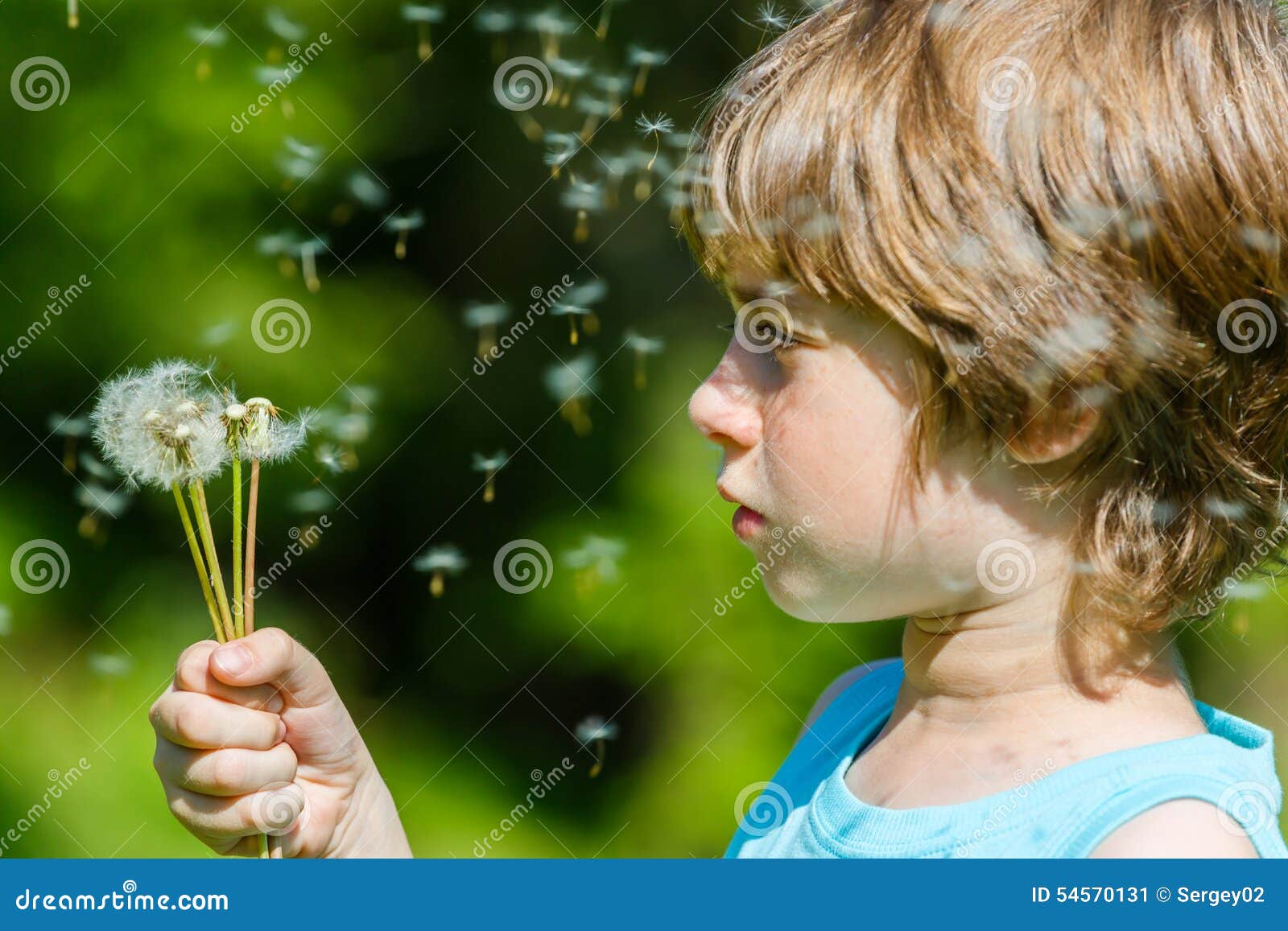 Kid Blowing Dandelion Outdoor on Green Stock Image - Image of happy ...