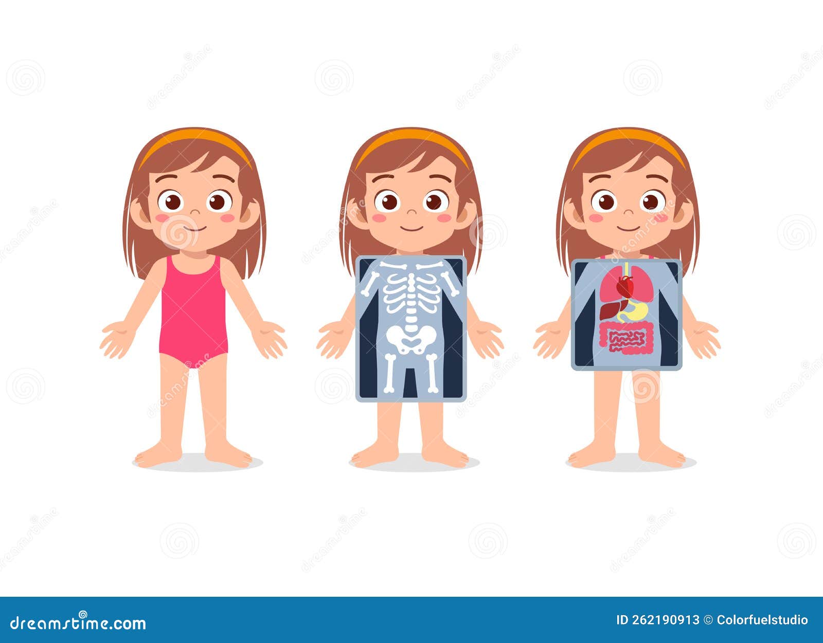 Kid Body Structure for Education in School Stock Vector - Illustration ...