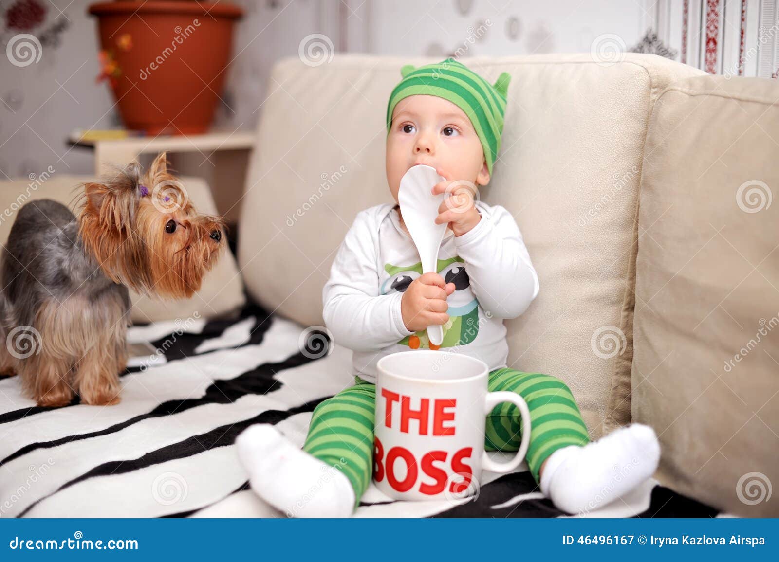 Kid boss and doggie stock image. Image of couch, sofa - 46496167