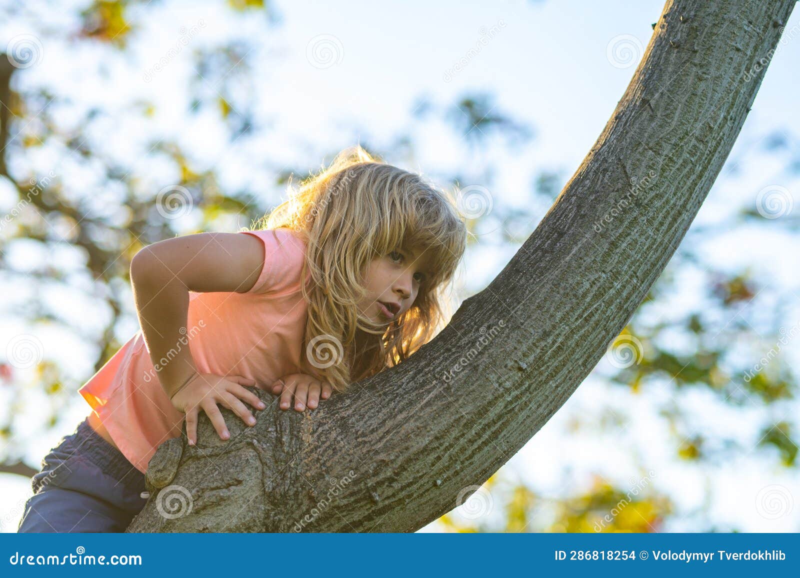 Kid Boy Playing and Climbing a Tree and Hanging Branch. Stock Photo ...