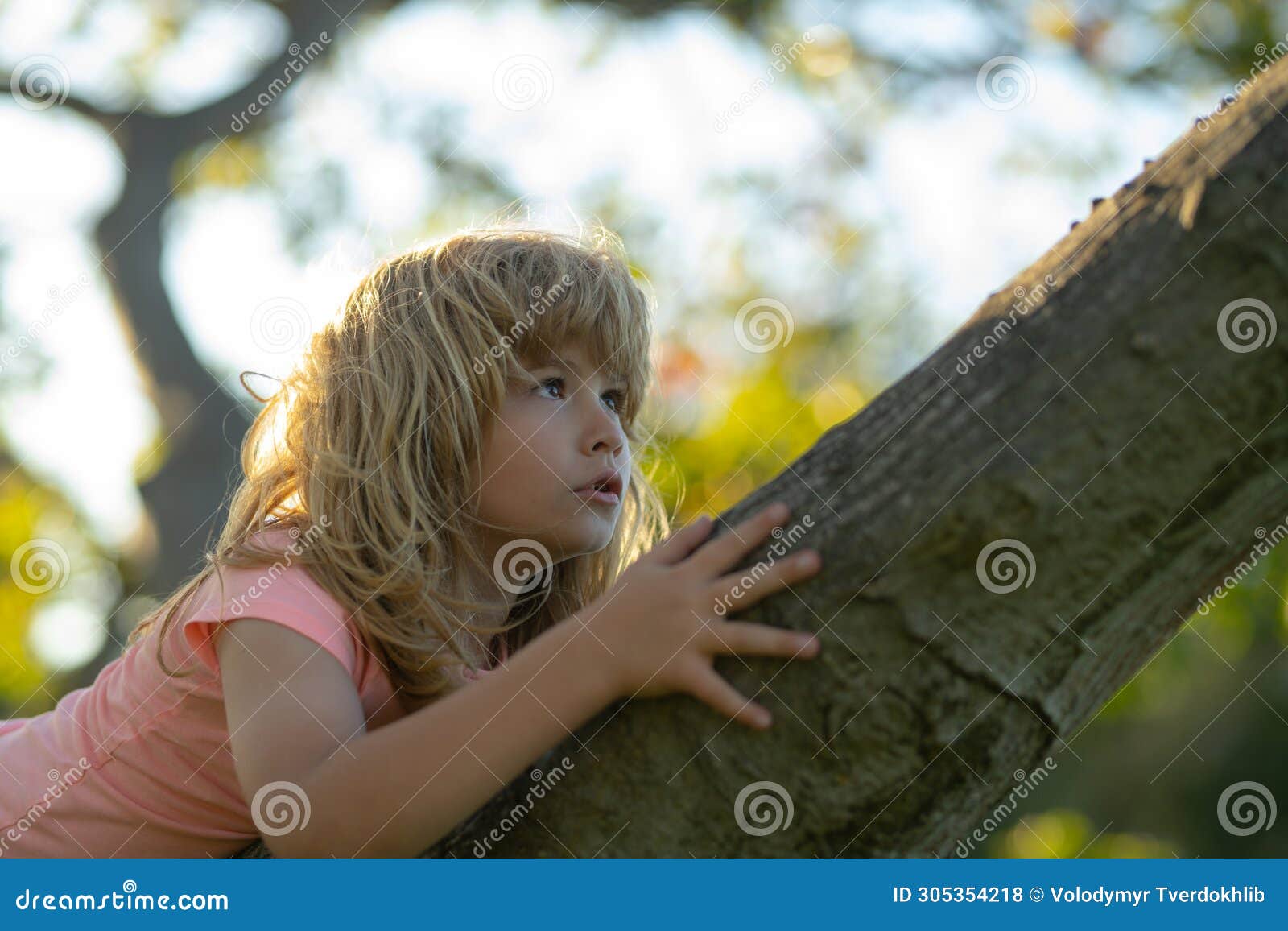 Kid Boy Playing and Climbing a Tree and Hanging Branch. Stock Photo ...