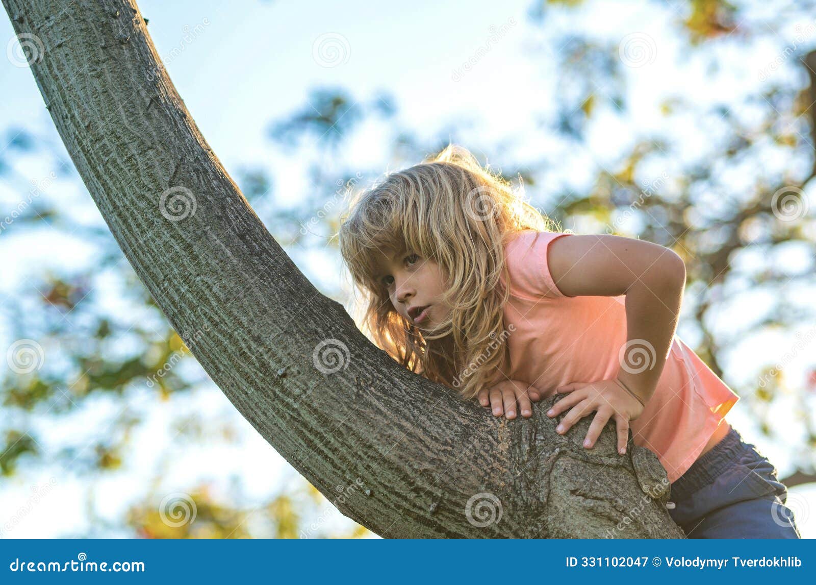 Kid Boy Playing and Climbing a Tree and Hanging Branch. Stock Image ...