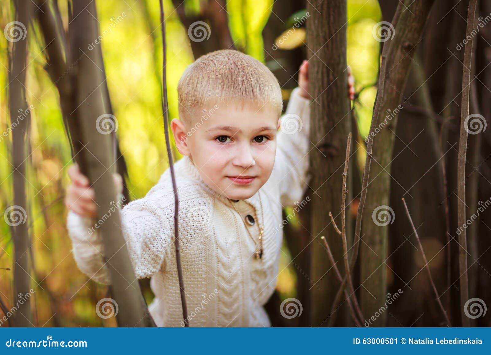 Kid Boy Playing among Tree Branches Stock Image - Image of cheerful ...