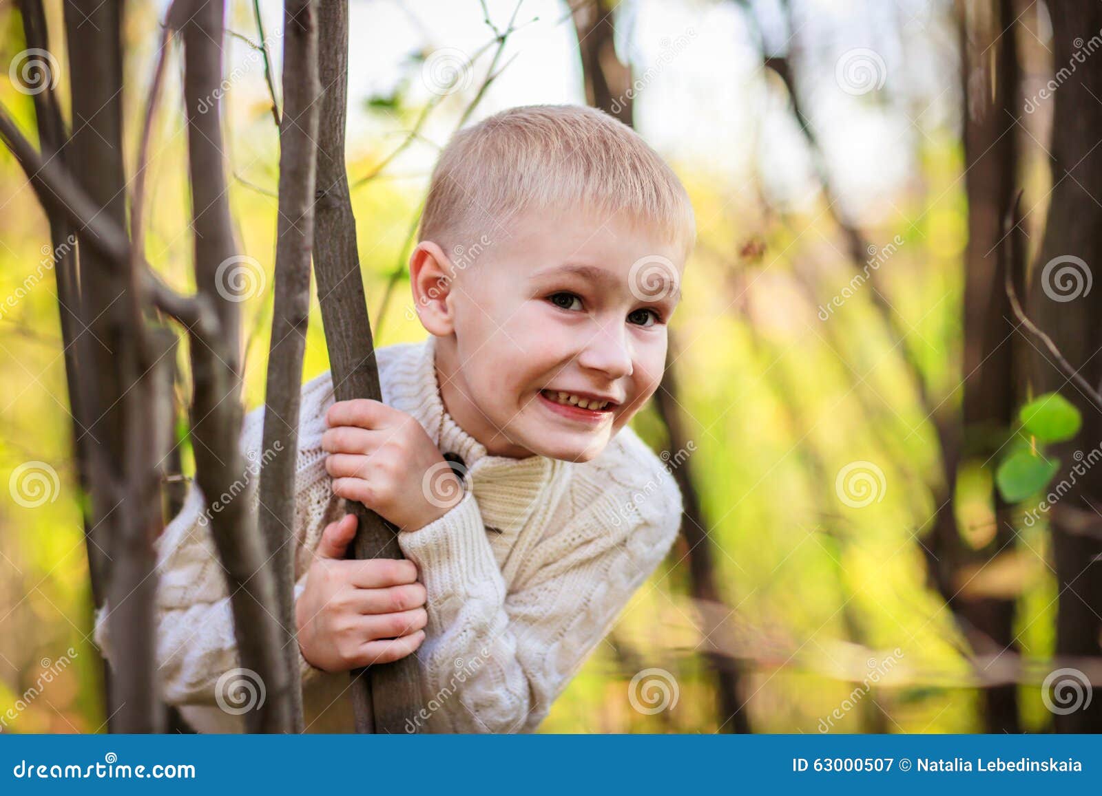 Kid Boy Playing among Tree Branches Stock Image - Image of garden, cute ...