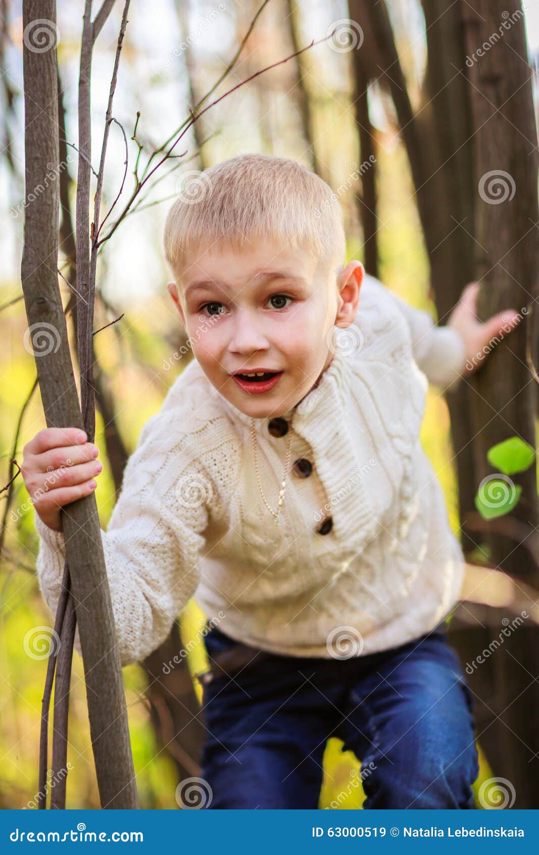 Kid Boy Playing among Tree Branches Prepares To Jump Stock Image ...