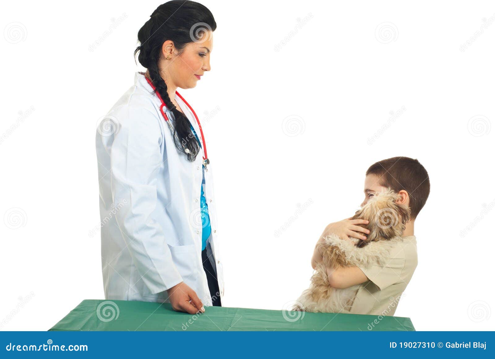 Kid Boy with Puppy Visit Veterinary Stock Photo - Image of animal ...