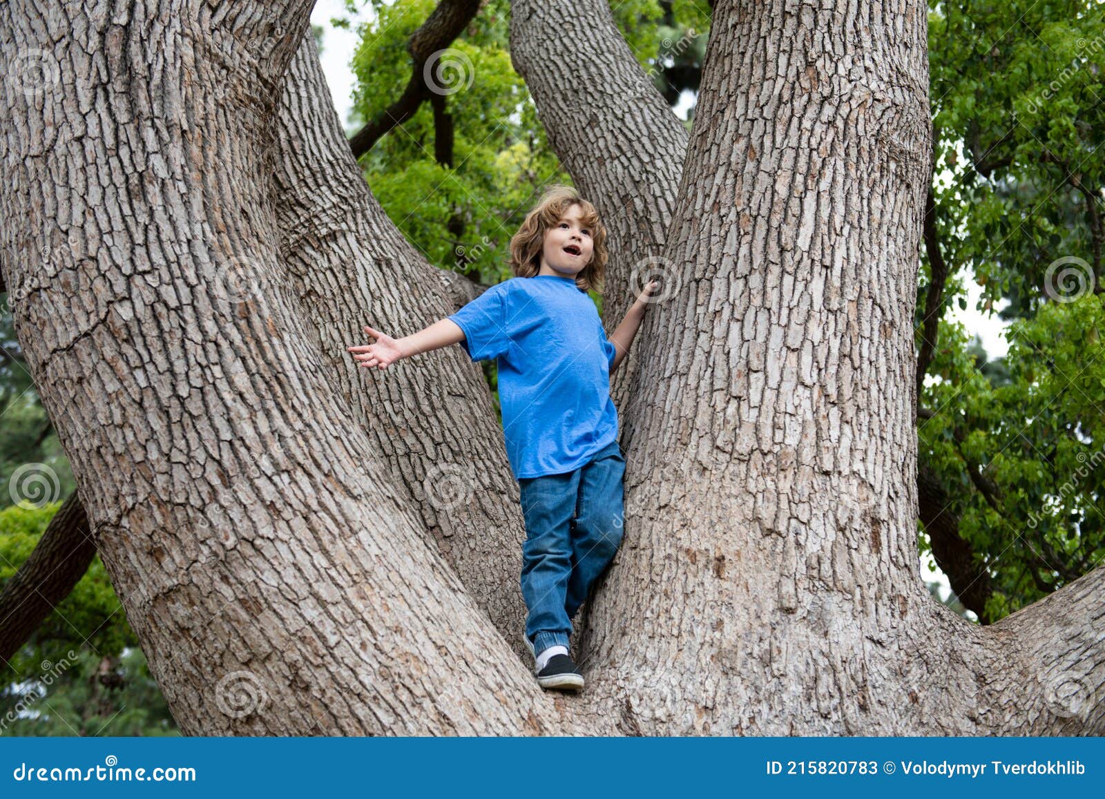 Kid Boy Resting on a Large Tree. a Young Child Climbs a Tree. Stock ...