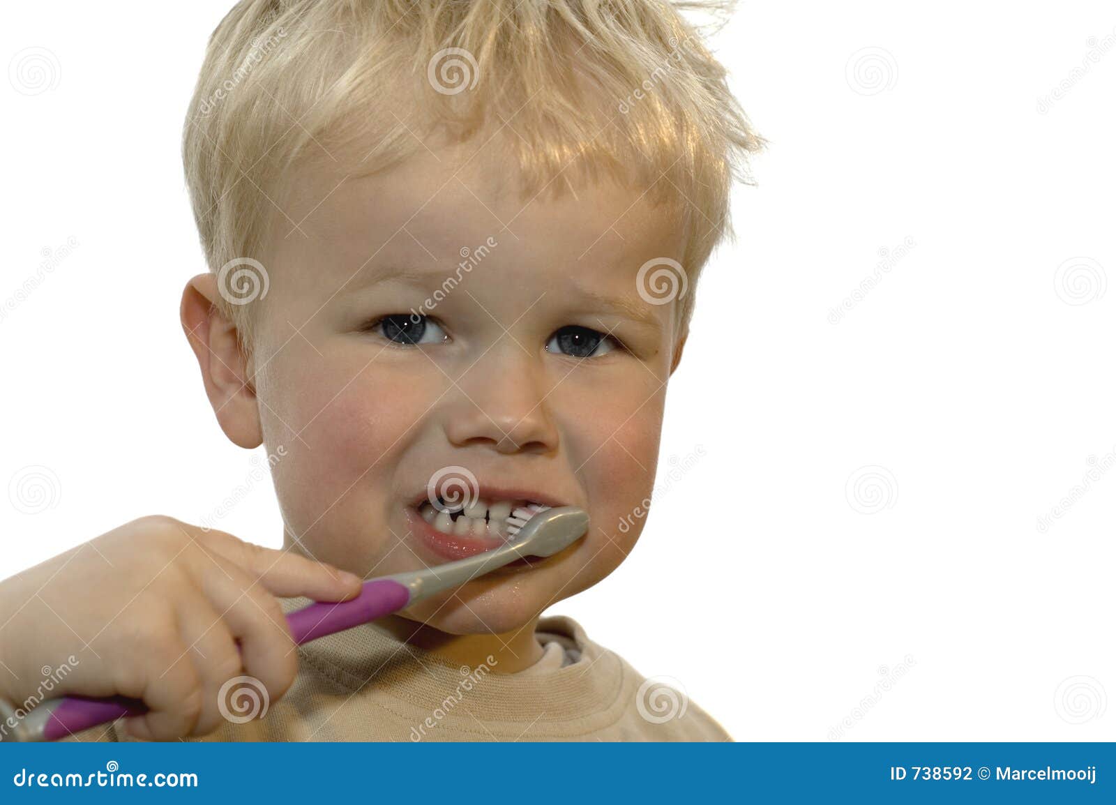 Kid brushing teeth stock photo. Image of hand, cavity, dentist - 738592