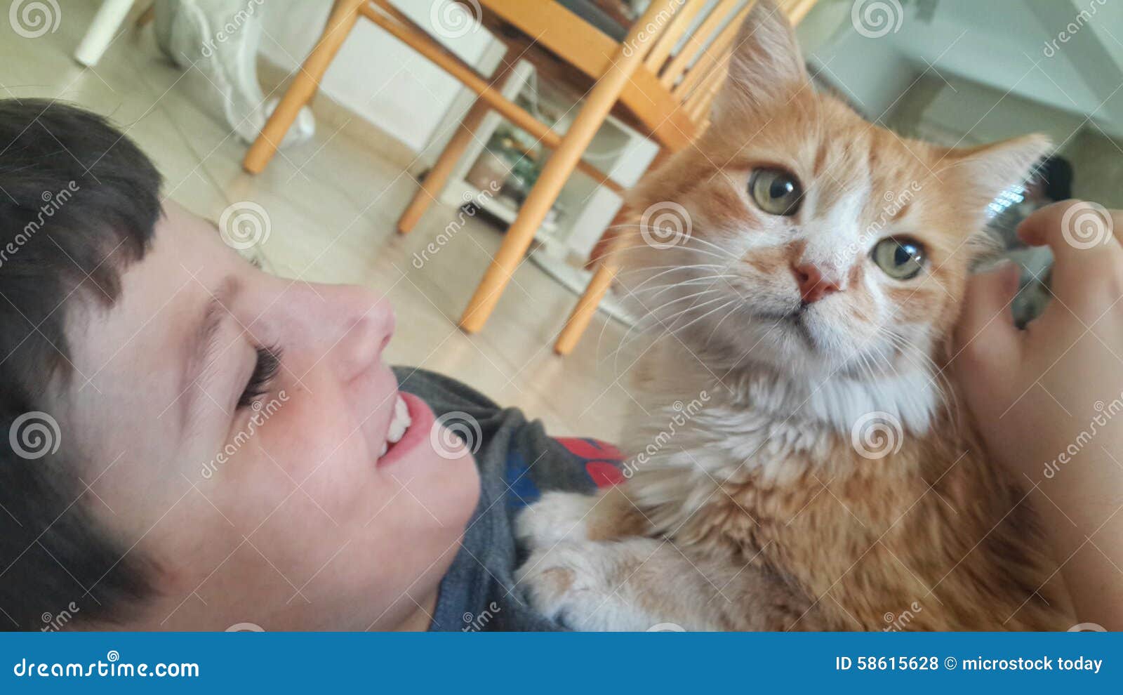 Kid and Cat editorial stock photo. Image of connection - 58615628
