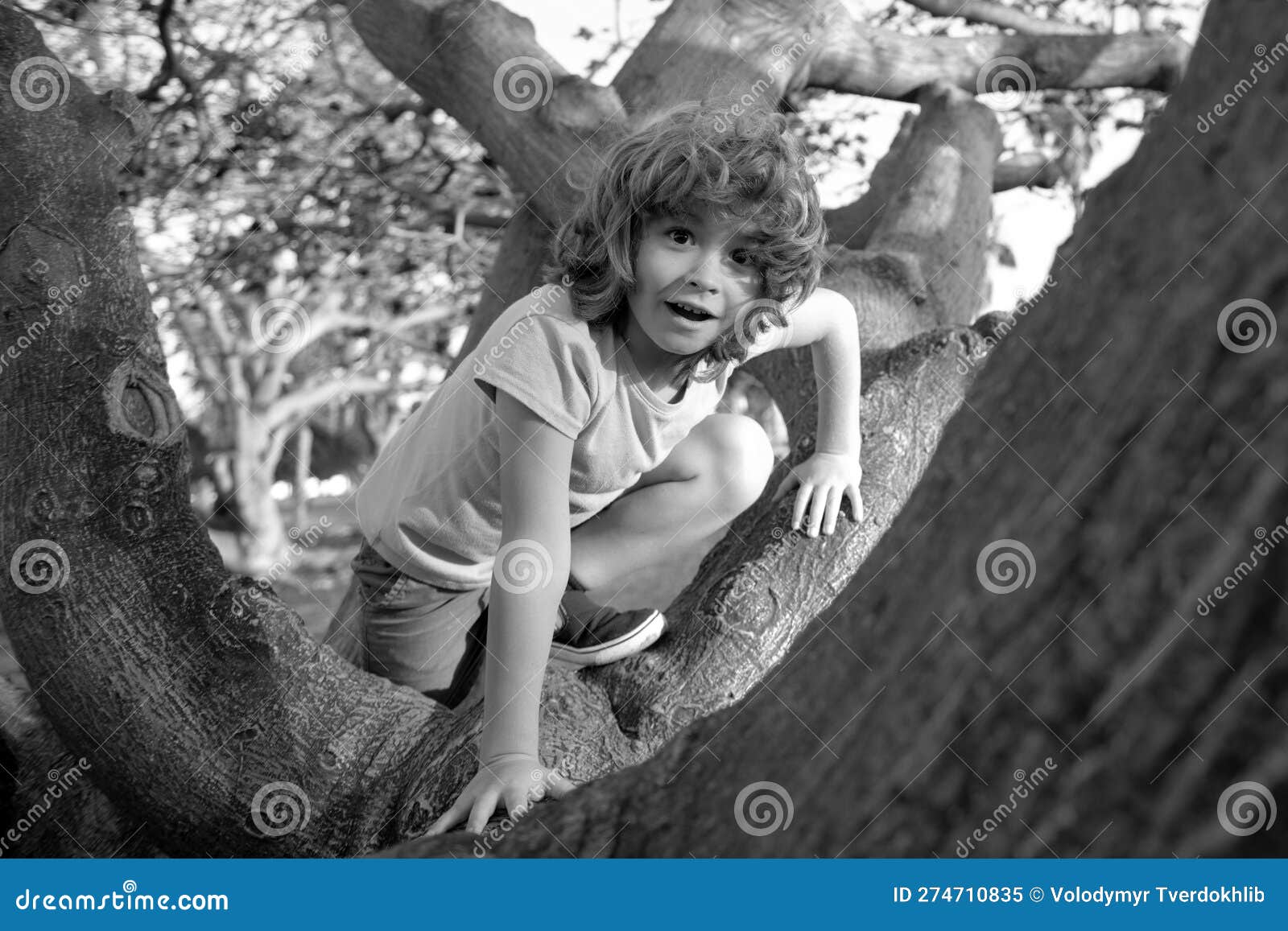 Kid Child Playing Riding a Tree Branch. Stock Image - Image of toddler ...