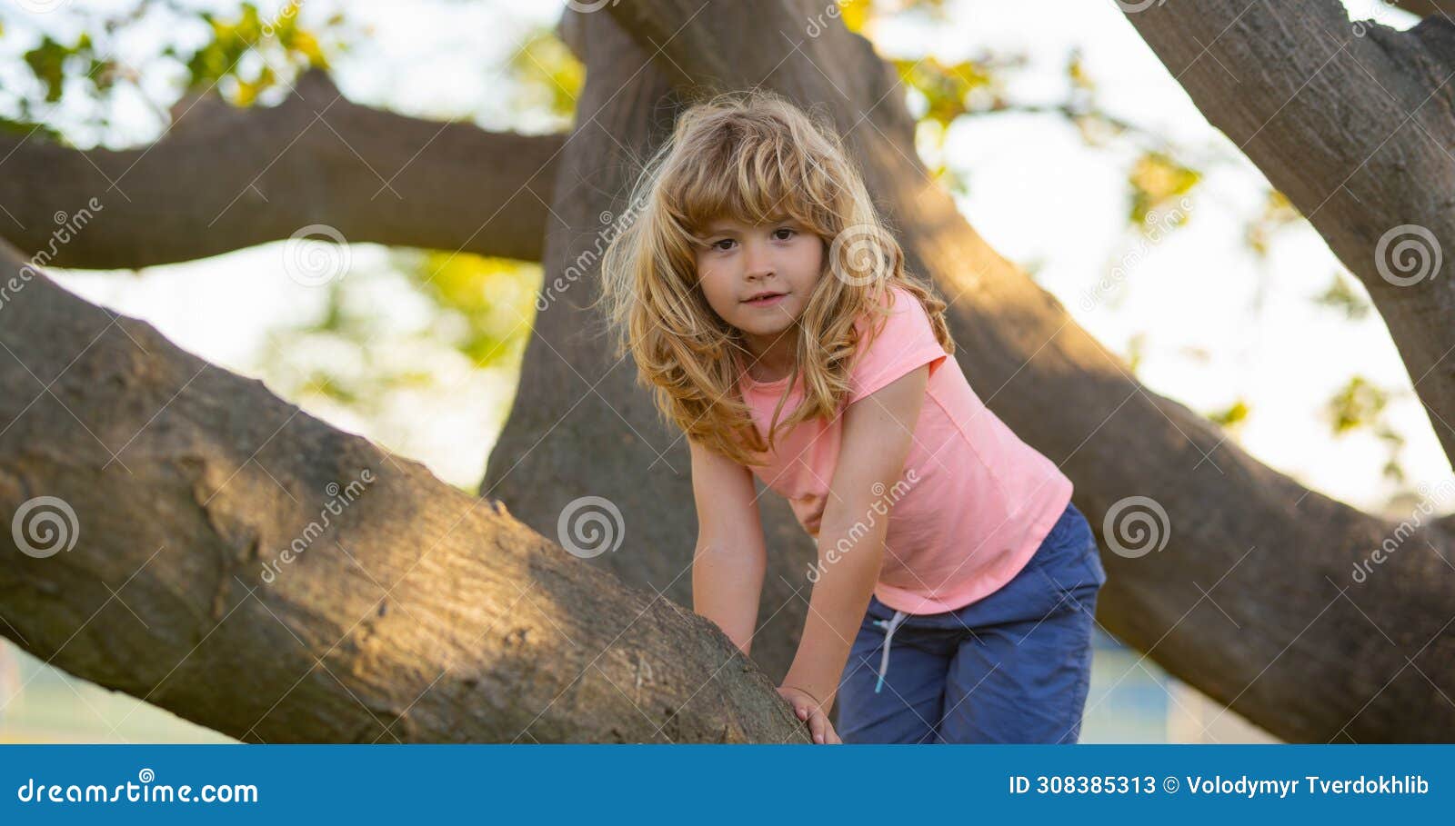 Kid Climbing on a Tree Branch. Child Climbs a Tree. Stock Image - Image ...