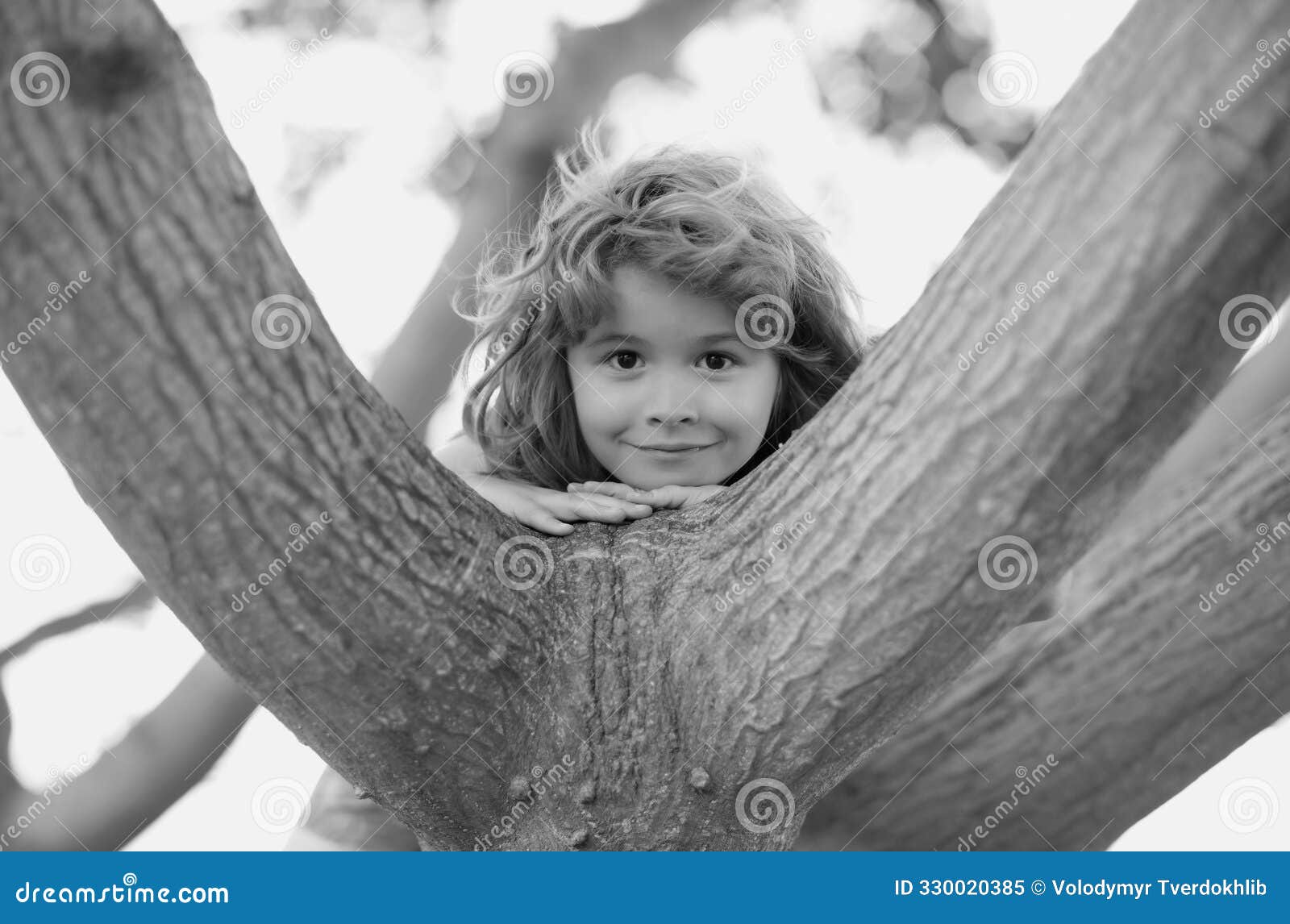 Kid Climbing on a Tree Branch. Child Climbs a Tree. Stock Image - Image ...