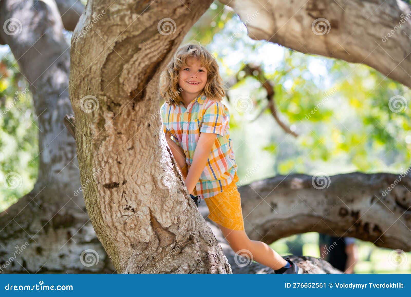 Kid Climbing on a Tree Branch Outdoor. Stock Image - Image of climber ...