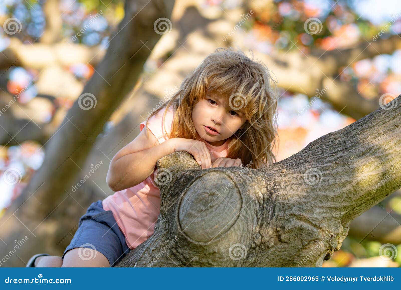 Kid Climbing on a Tree Branch Outdoor. Stock Image - Image of park ...