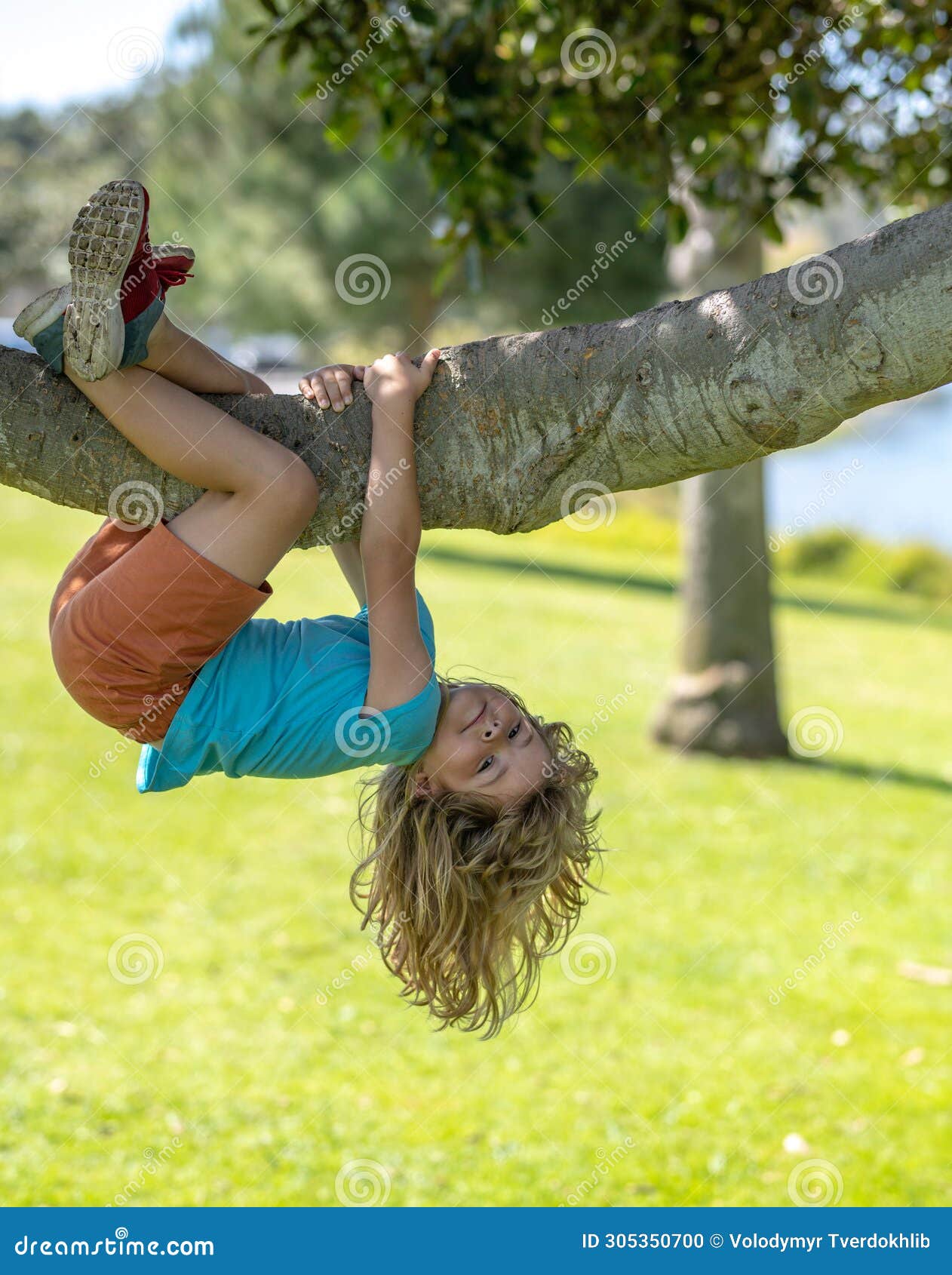 Kid Climbing on a Tree Branch Outdoor. Stock Photo - Image of exploring ...