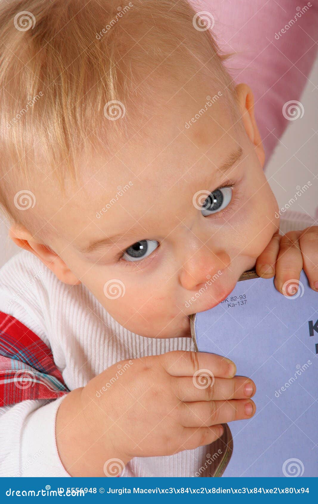 Kid eating books stock photo. Image of cute, white, face - 5556948