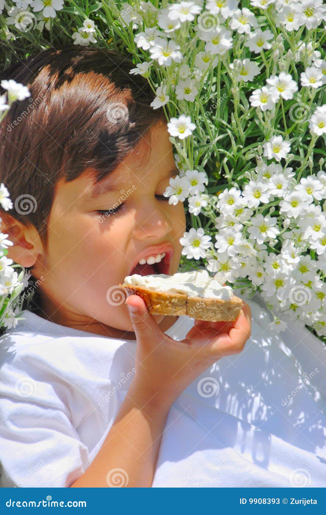Kid Eating Bread Picture. Image: 9908393
