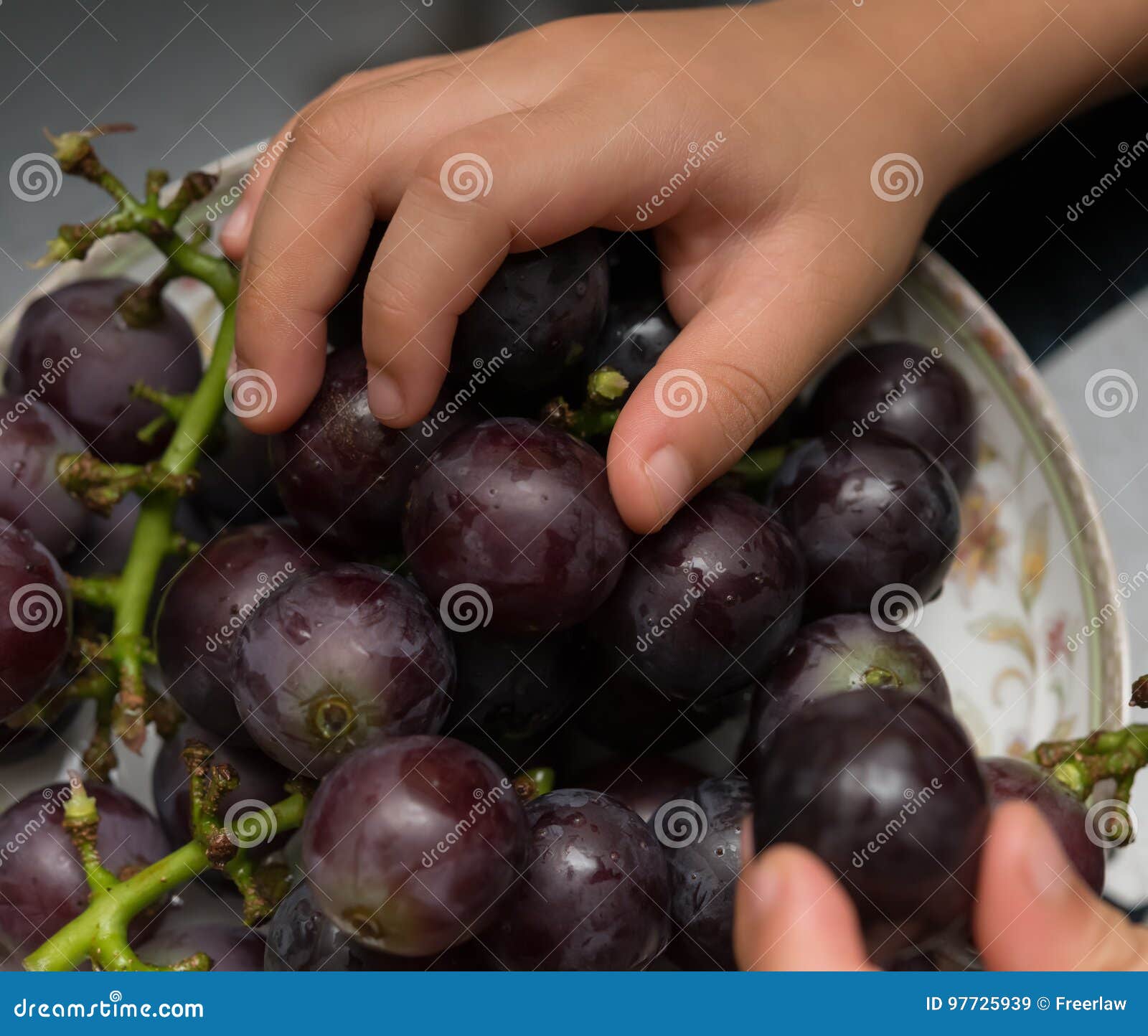 Kid eating grapes stock image. Image of refreshment, ripe - 97725939
