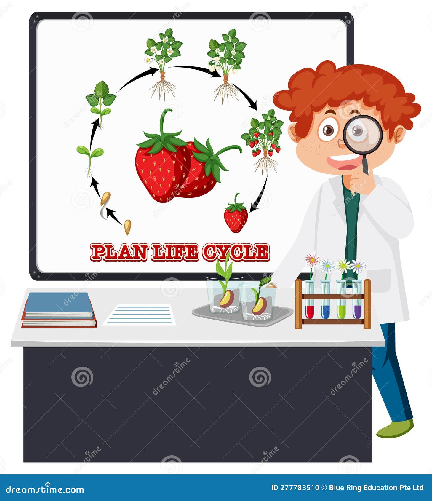 Kid Explaining Parts of a Plant Stock Vector - Illustration of ...