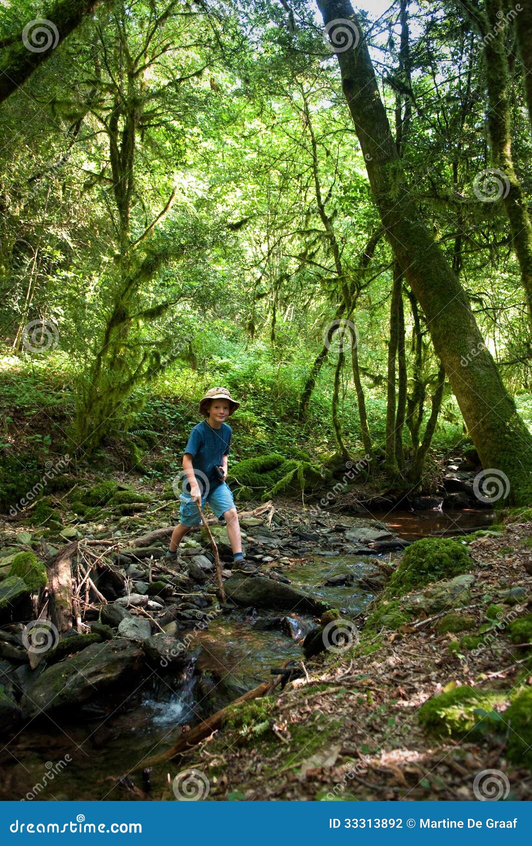 Kid exploring forest stock photo. Image of explore, nature - 33313892