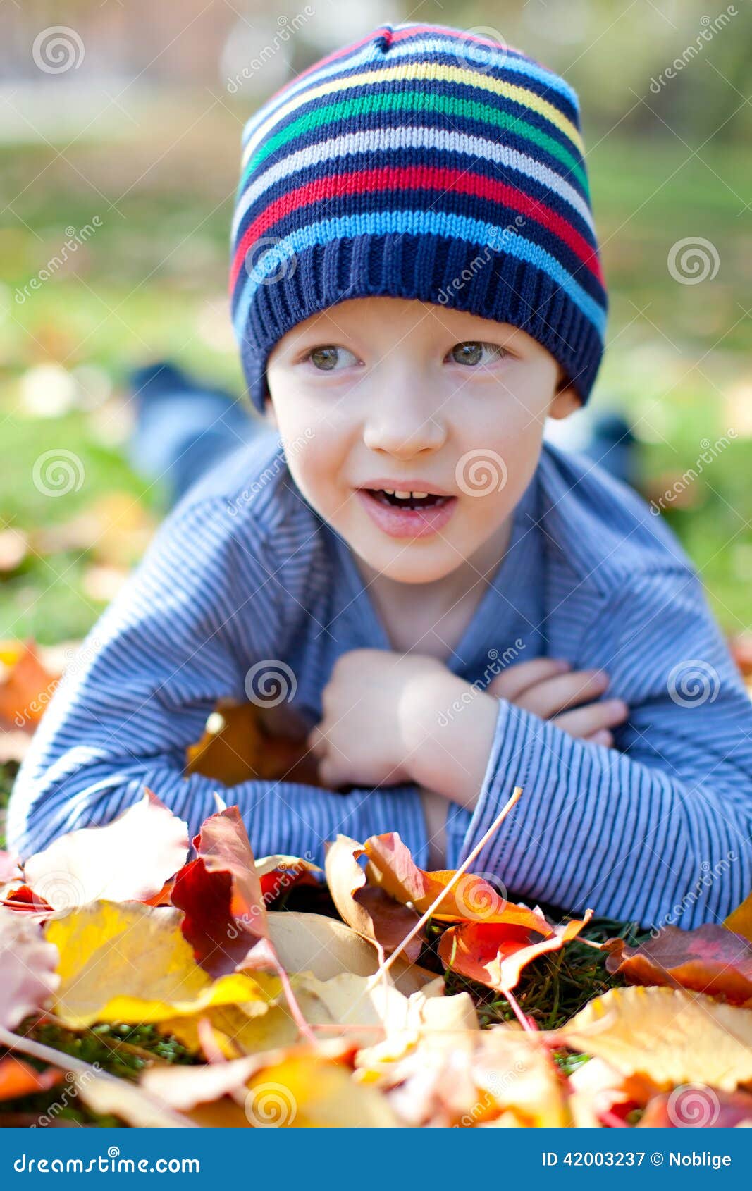 Kid at fall stock image. Image of outside, leaf, golden - 42003237