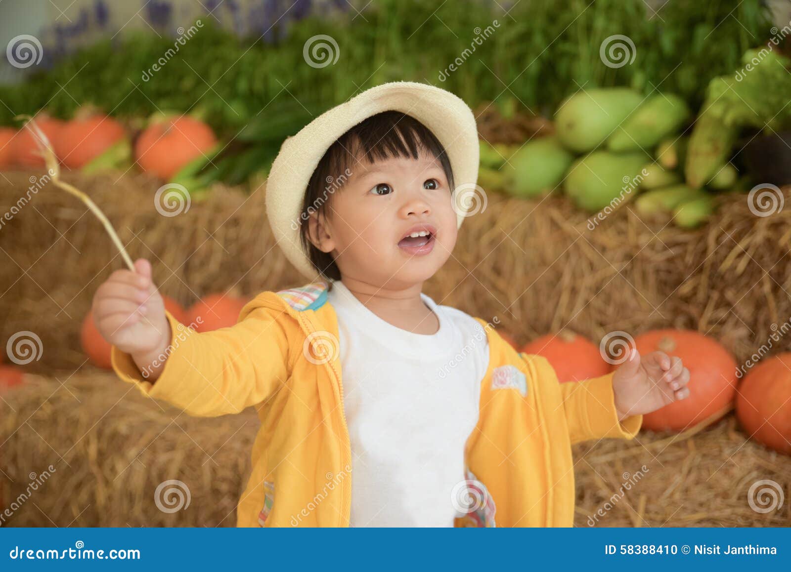 Kid in the farm stock photo. Image of gardening, outdoor - 58388410