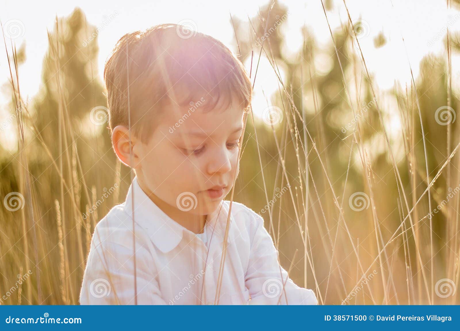 Kid in Field Playing with Spikes at Summer Sunset Stock Photo - Image ...