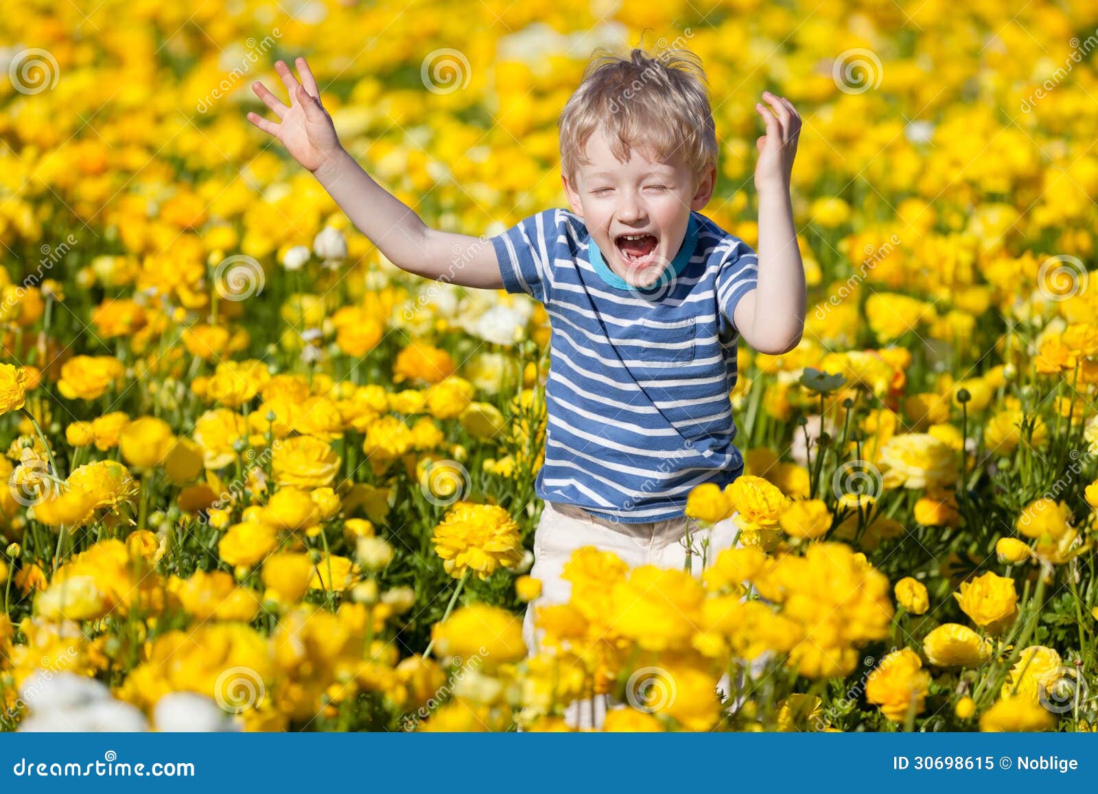 Kid at the flower field stock image. Image of laughing - 30698615
