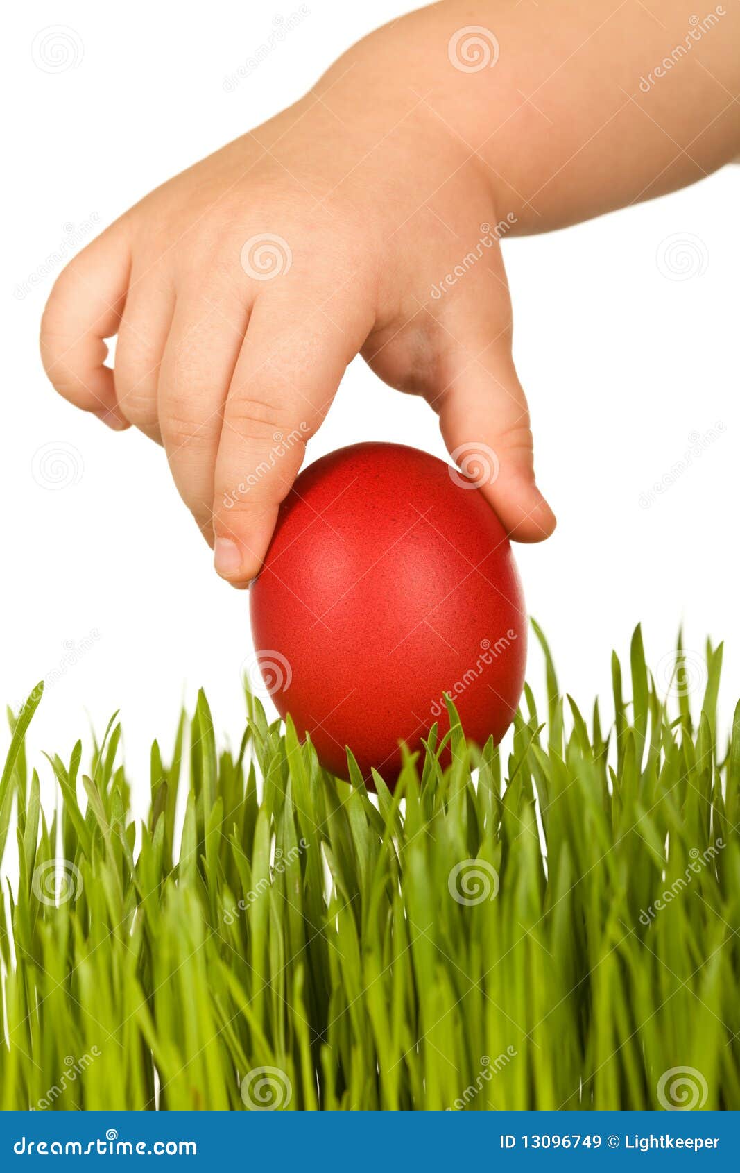 Kid Hand Holding Red Easter Egg Over Green Grass Stock Image - Image of ...