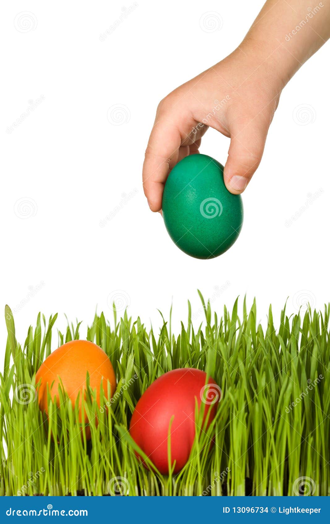 Kid Hand Putting Easter Eggs in the Grass Stock Photo - Image of life ...