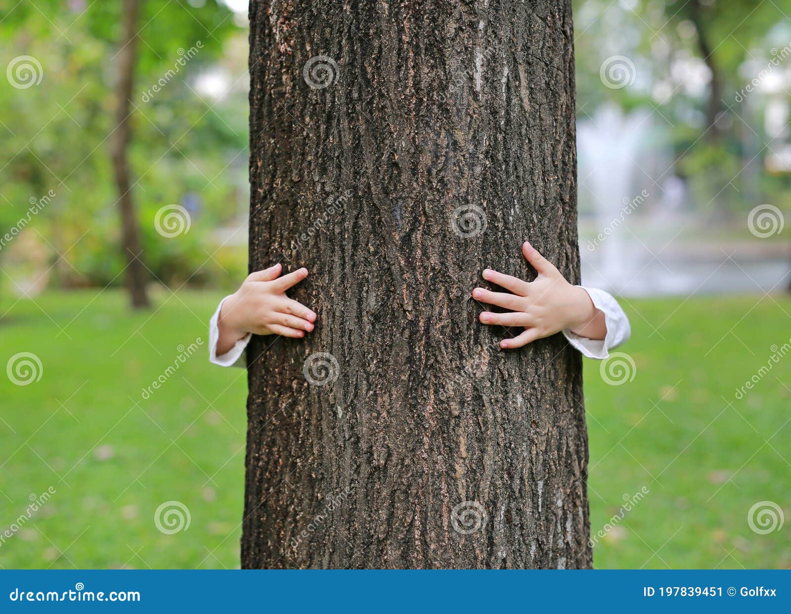 Kid Hands Embracing Nature. Child Hug a Tree in the Park Stock Image ...