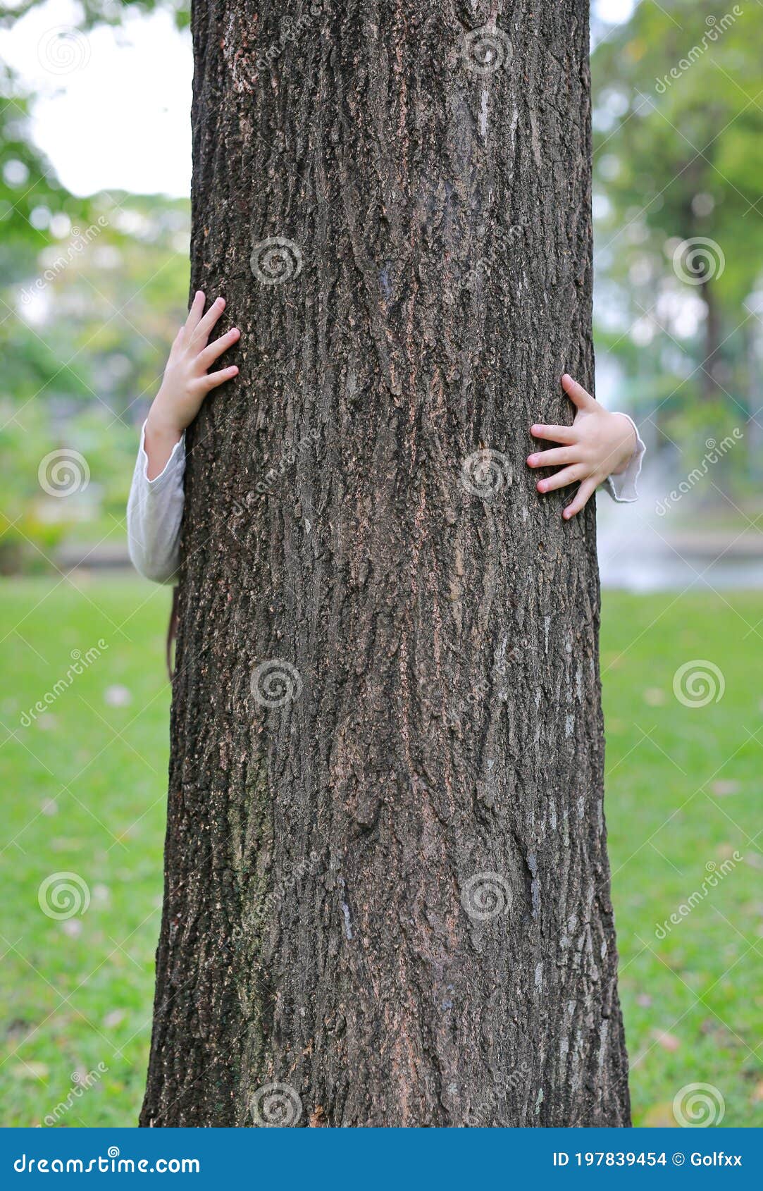 Kid Hands Embracing Nature. Child Hug a Tree in the Park Stock Photo ...