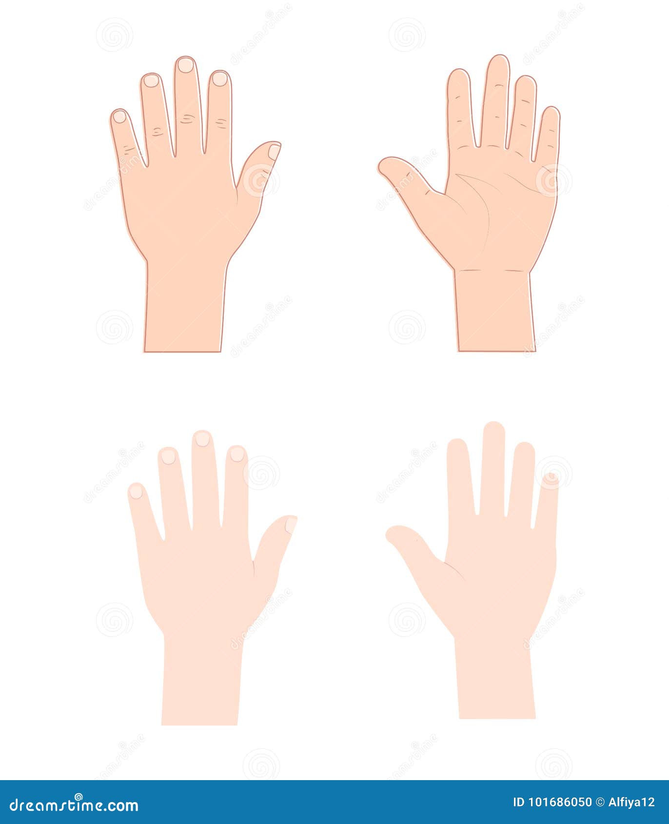 Back Hand Palm Vector