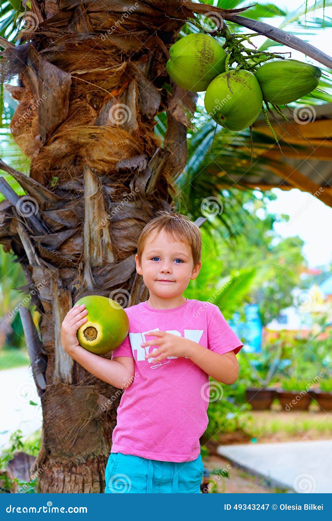 Kid Harvests the Young Coconuts in Tropical Garden Stock Image - Image ...