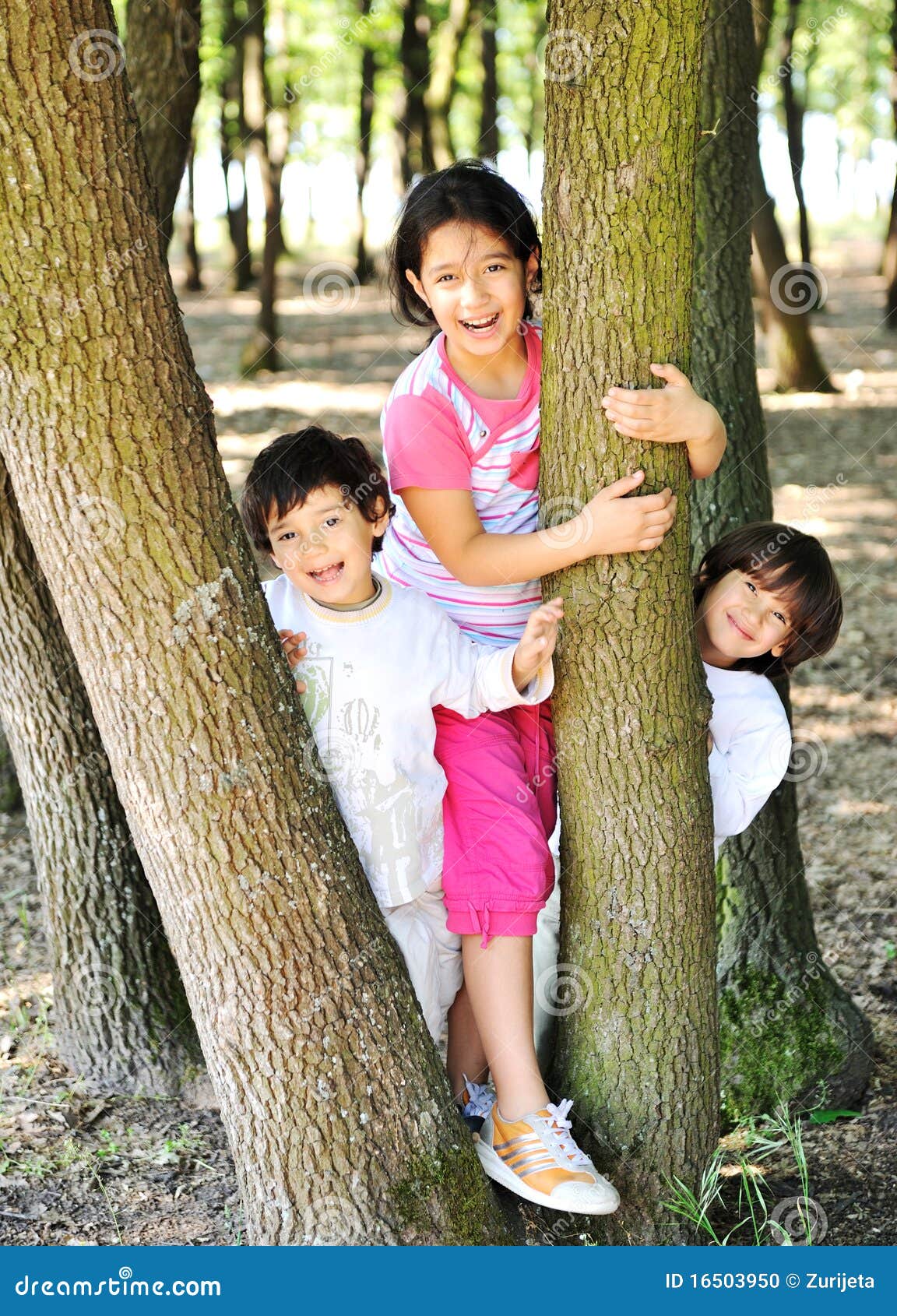 Kid hiding stock photo. Image of playful, nice, outdoor - 16503950