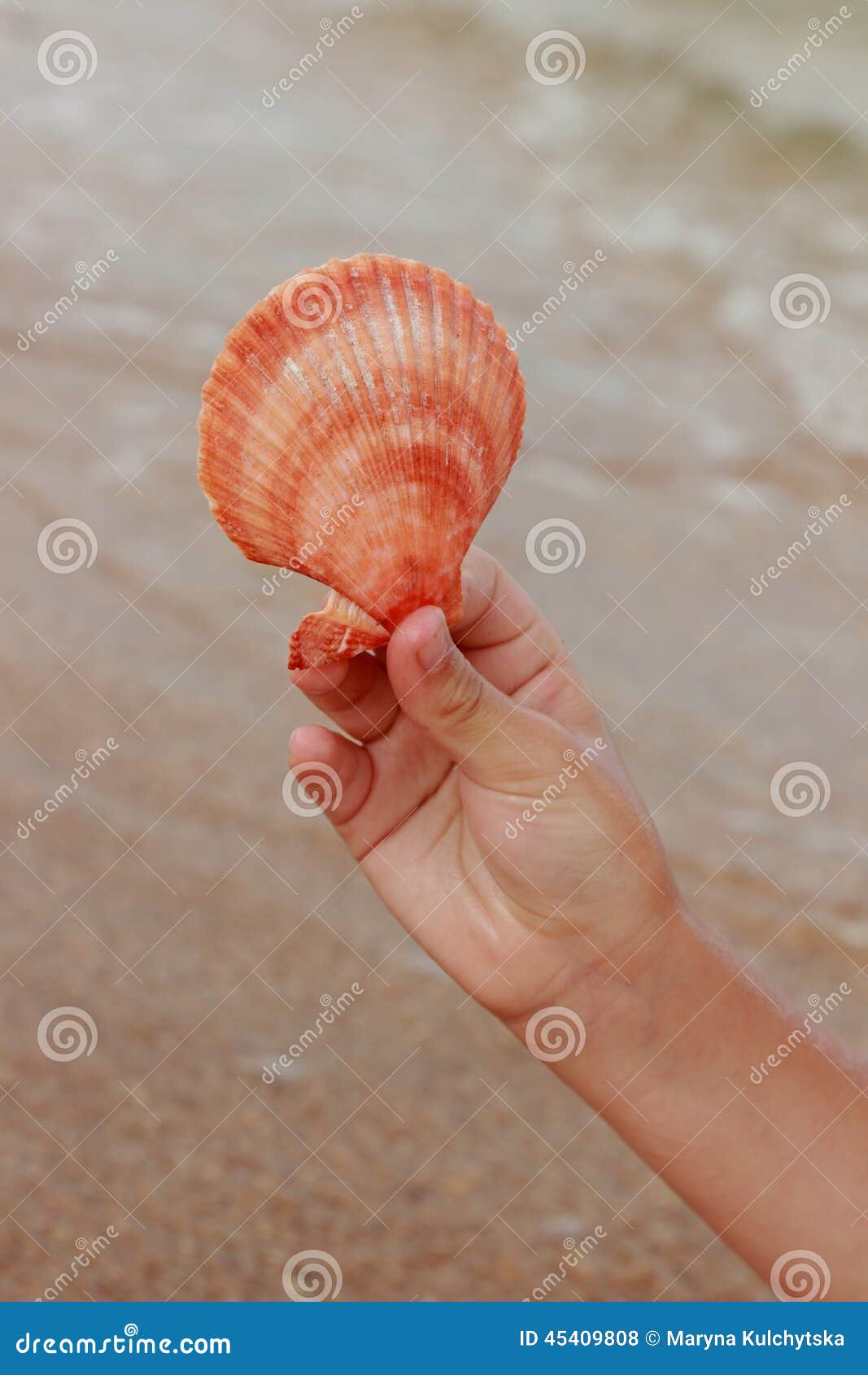 Kid Holding Seashell, Crimea Stock Photo - Image of child, pretty: 45409808