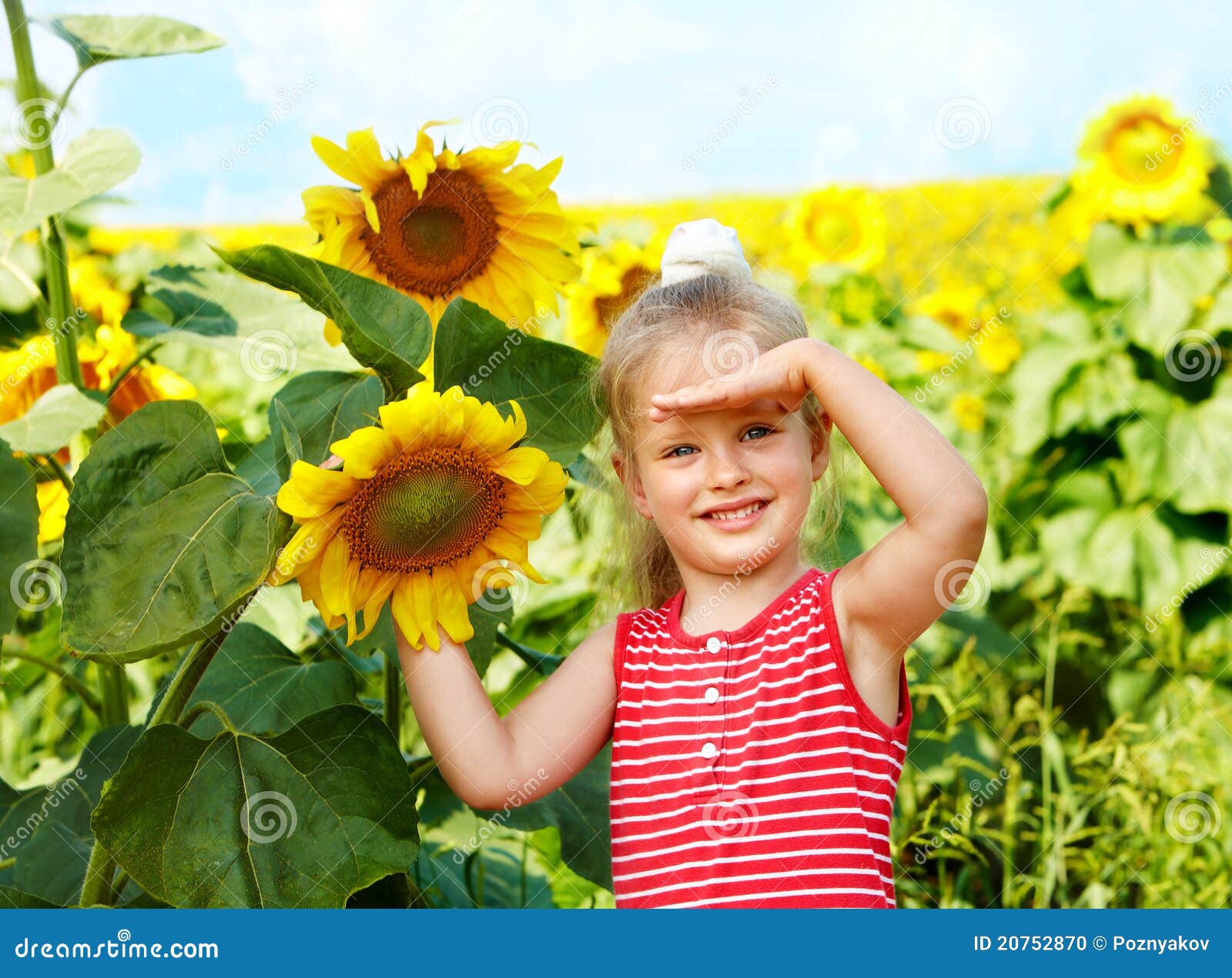 Kid Holding Sunflower Outdoor. Royalty-Free Stock Photo | CartoonDealer ...
