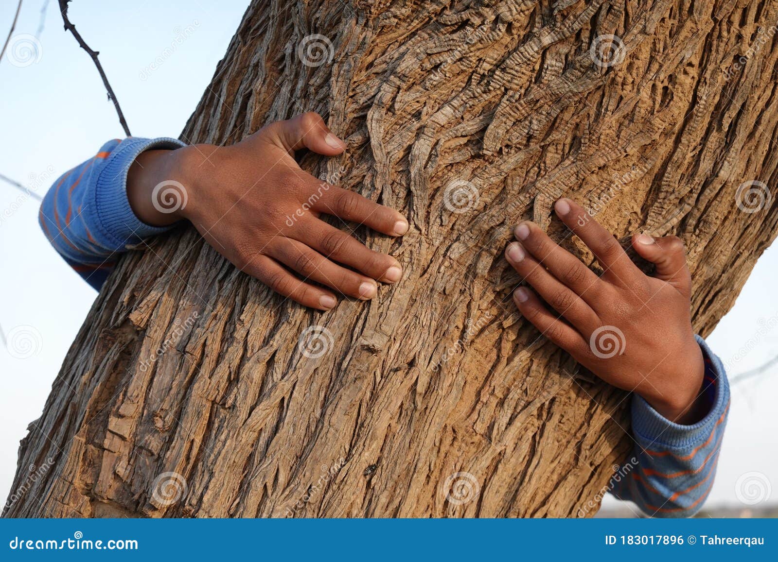 A Kid Hugging the Tree Trunk Stock Photo - Image of trunk, leaf: 183017896