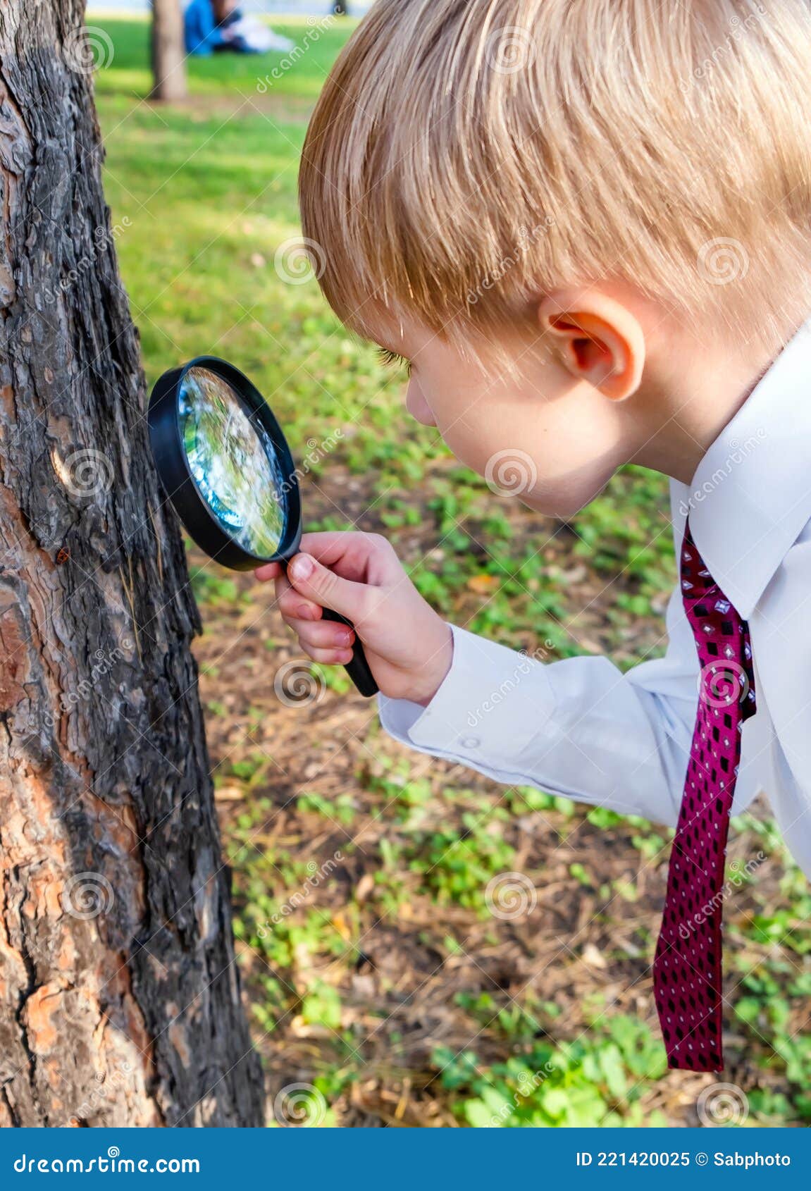 Kid with a Magnifying Glass Stock Image - Image of blond, grass: 221420025